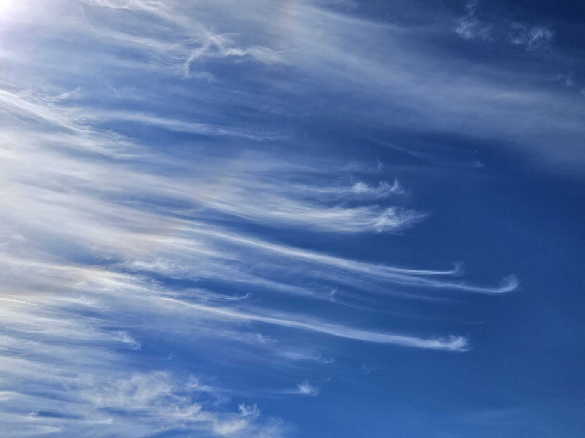 Freedom of Mind: The Beliefs That Shape Our Reality